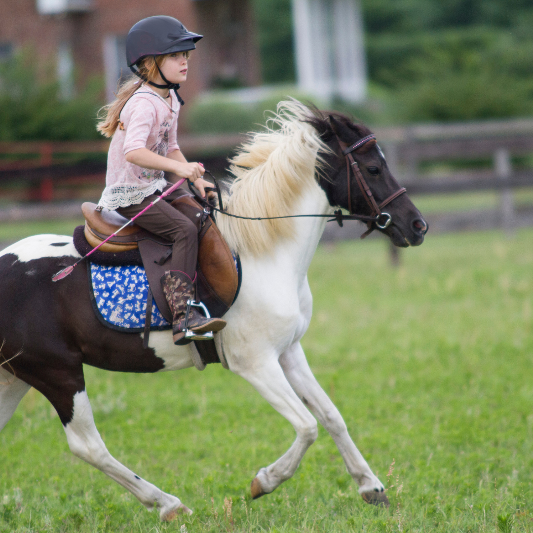 Kids Clothing | Young Riders | MGM Equestrian Shop